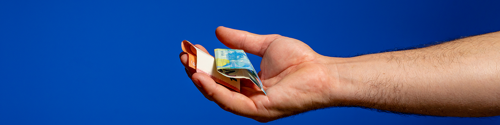 HOGS Eurovignette – where to buy 💰 and which countries require it? • HOGS